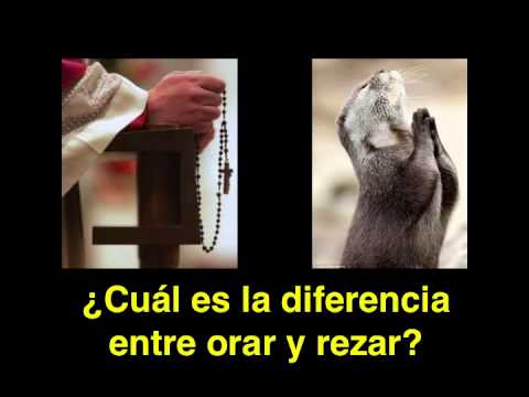 ¿ Cual es la diferencia entre Orar y Rezar? - Catolico