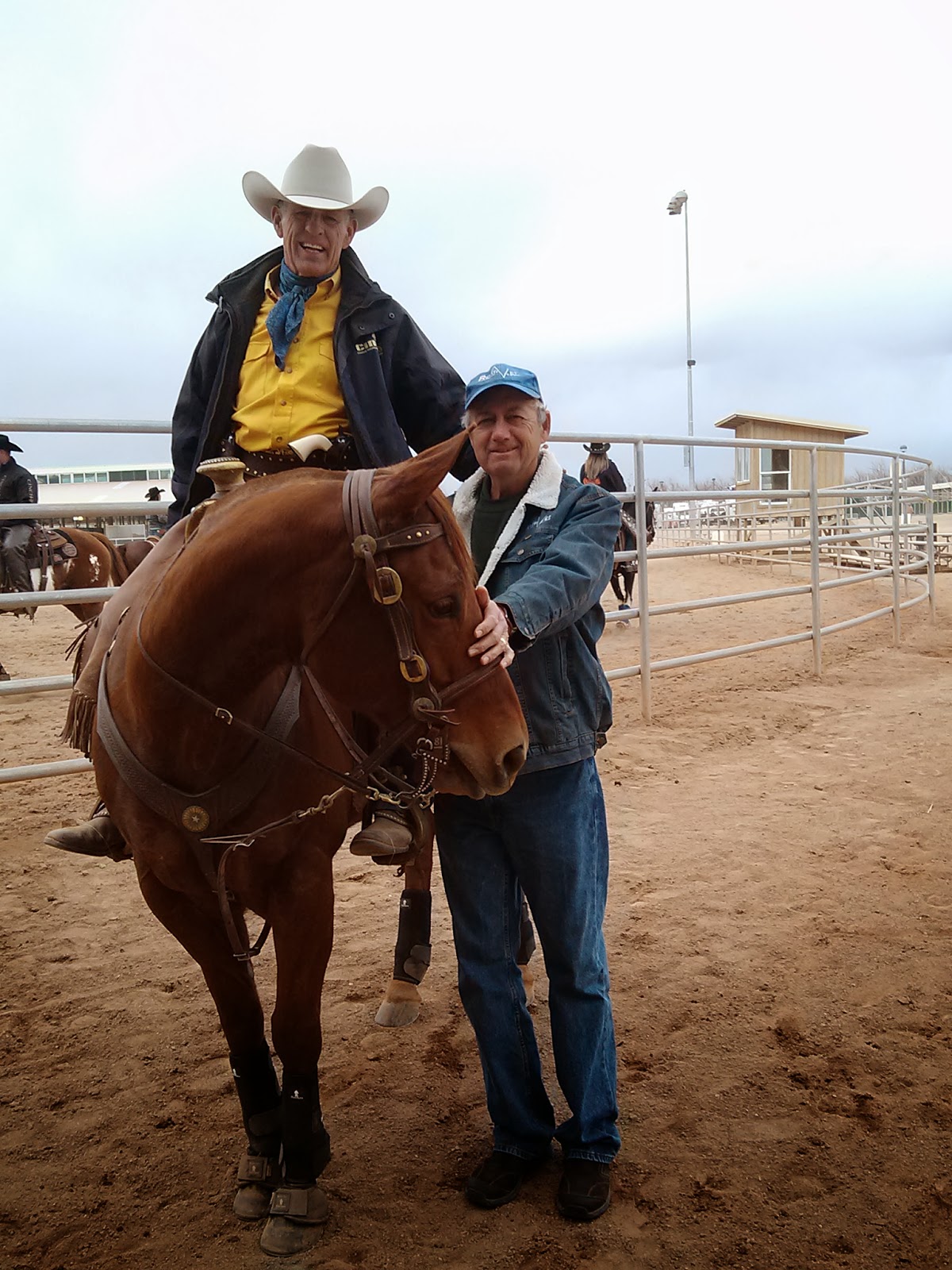 RevitaVet: Cowboy Mounted Shooting