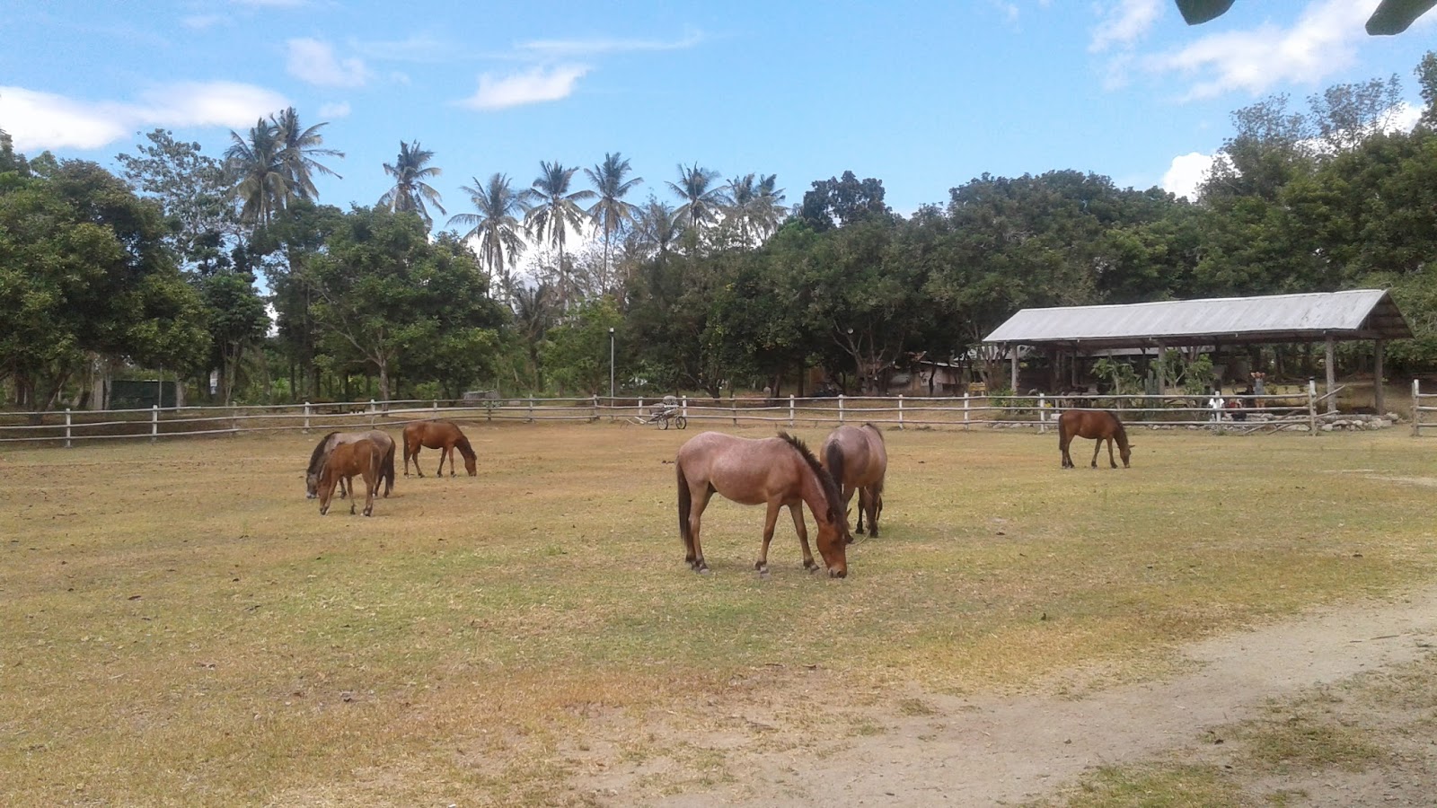 Beaches and Get Aways in Negros Island: BANTUG LAKE RANCH