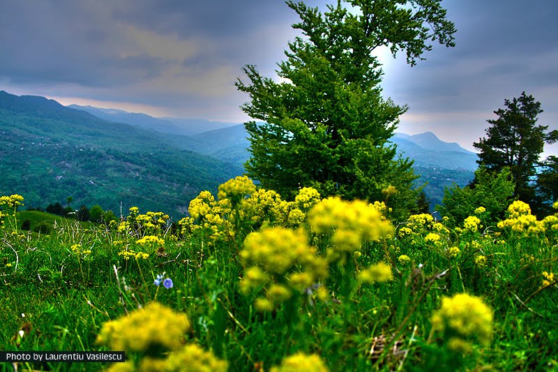 Calator in Paradis - Bisoca, Buzau