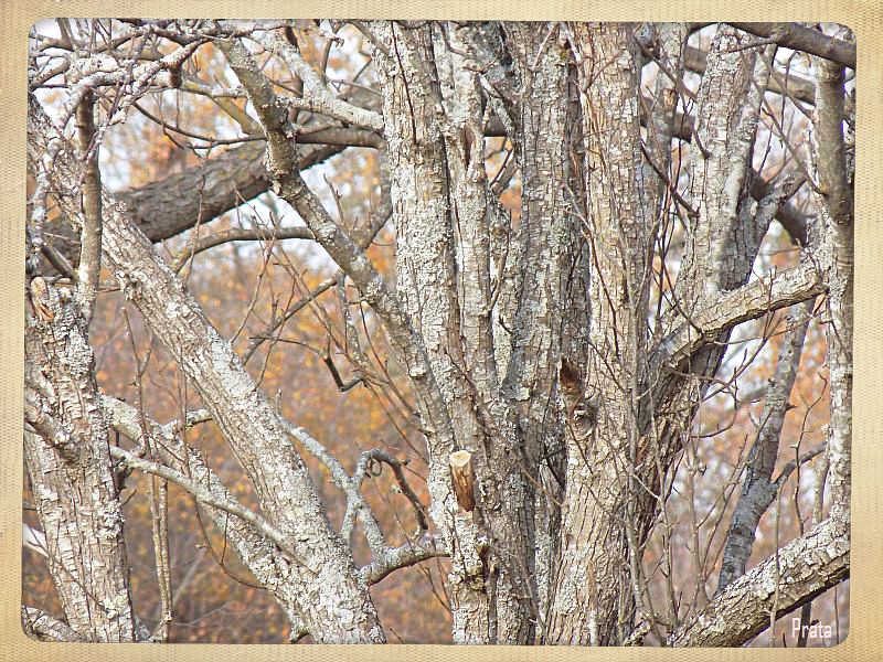 Winter awakeneth all my care