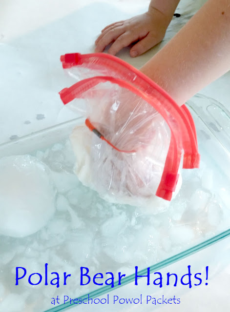 Polar Bear Science Experiment STEM | Preschool Powol Packets