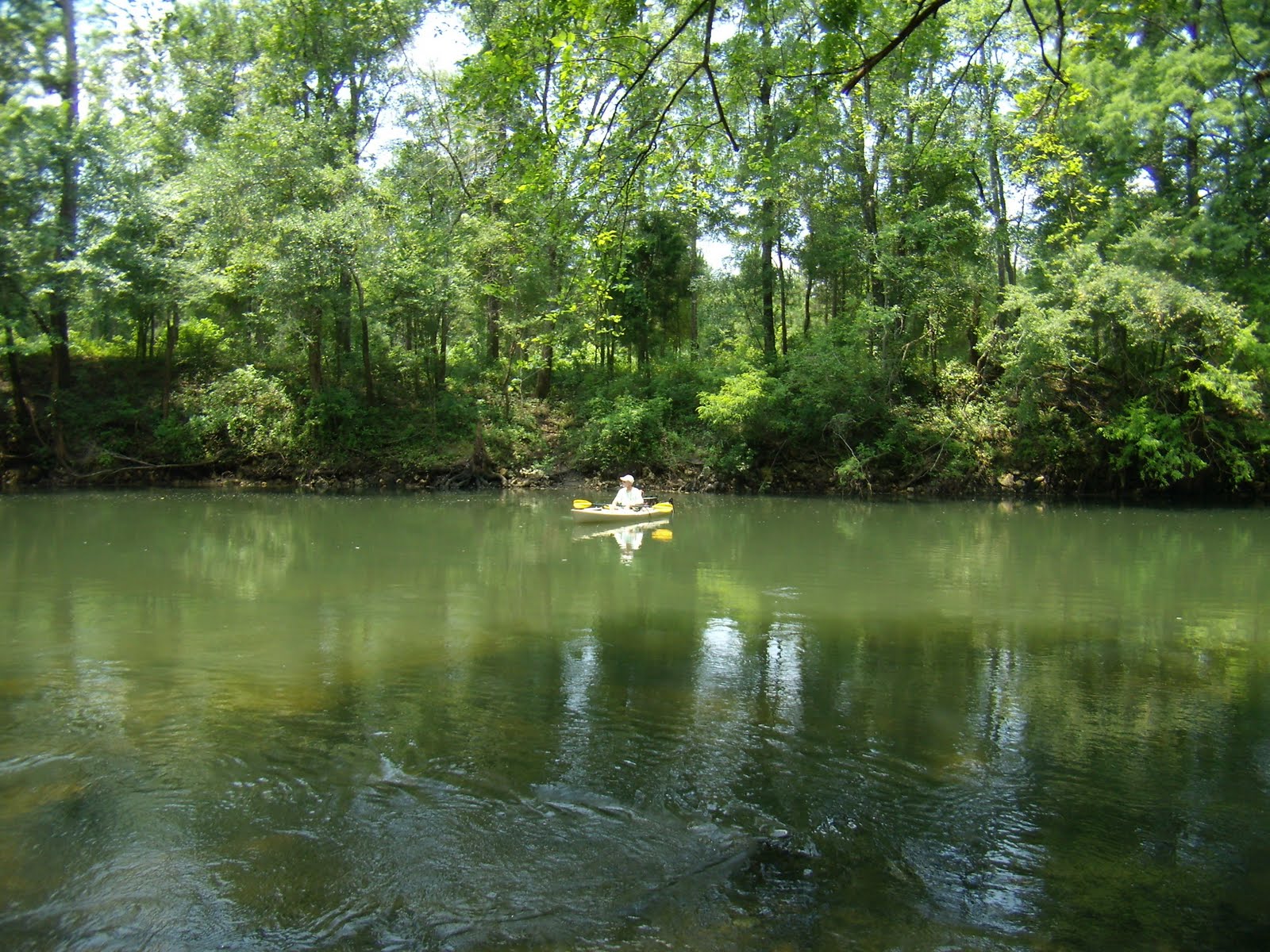 The Flying Kayak: A Look Back: Chipola River Fishing Summer 2009