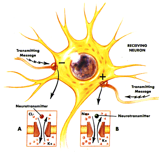 Blog Archives - needsprogs