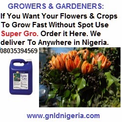 How To Use Super Gro To Boost Fertilisers