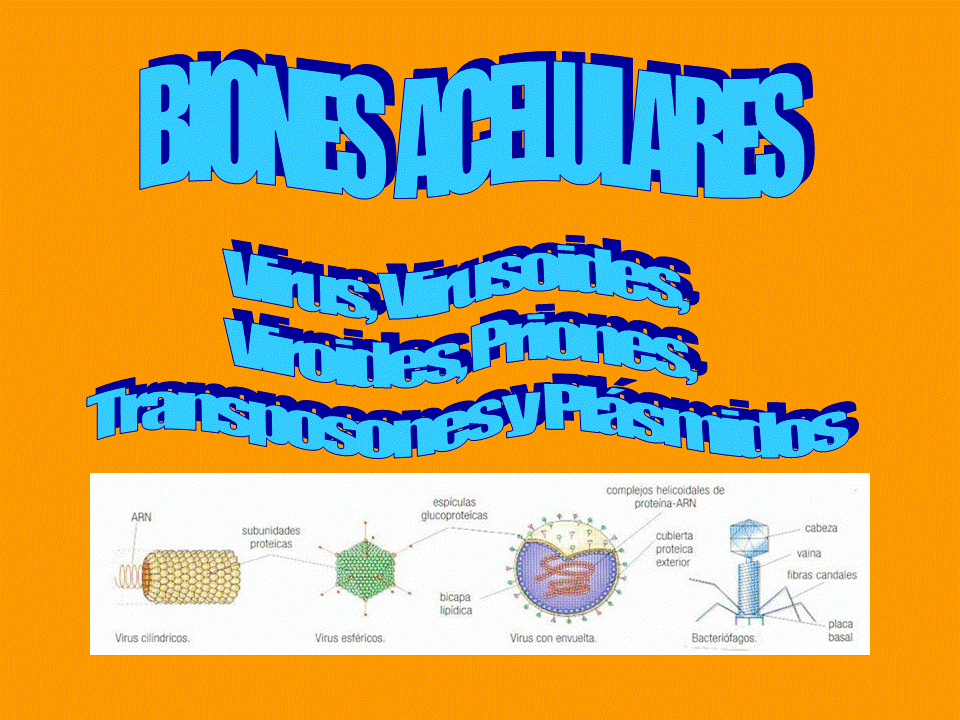 M1012: VIROIDES, VIRUSOIDES Y PRIONES