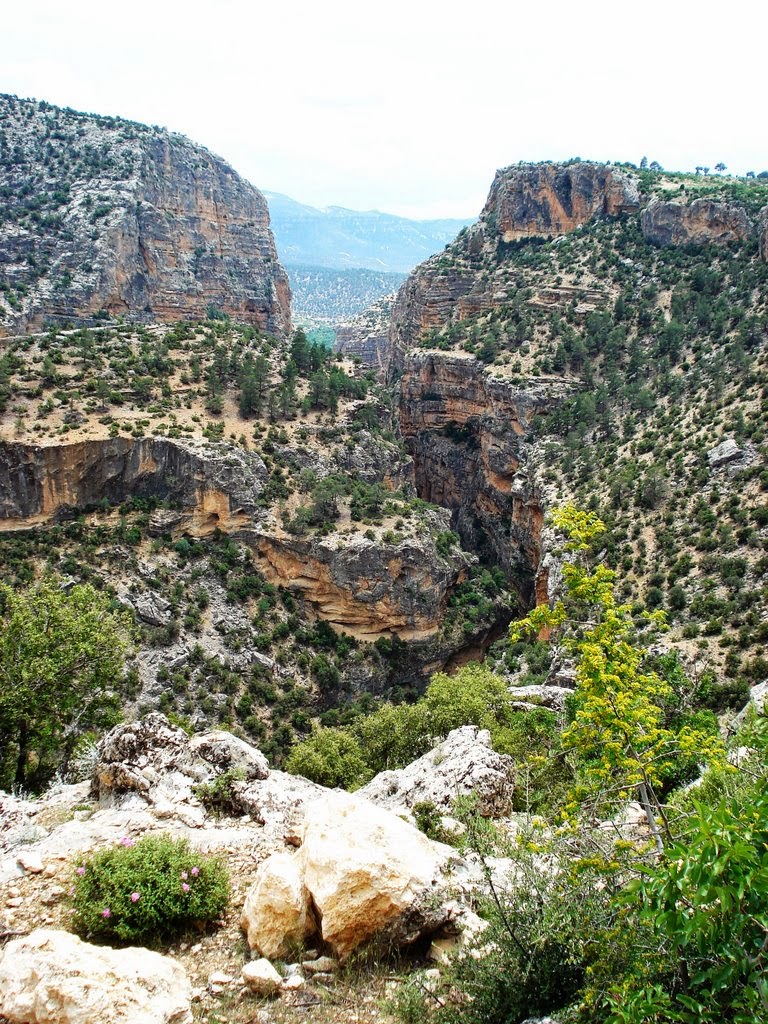 Sason Canyon ~ Call of Turkey