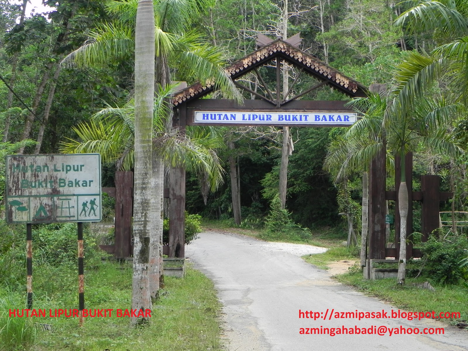 Relatif: Siri 01: Hutan Lipur Bukit Bakar (Machang)