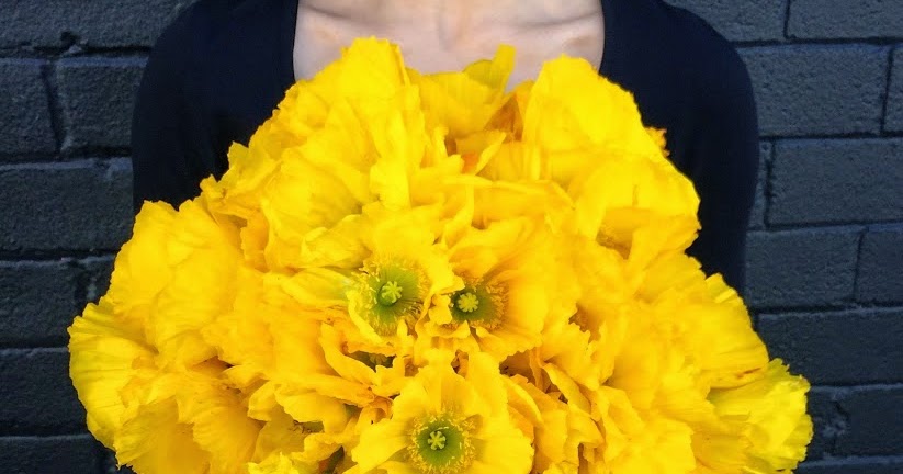 Urban Flower: Daily Inspiration #2