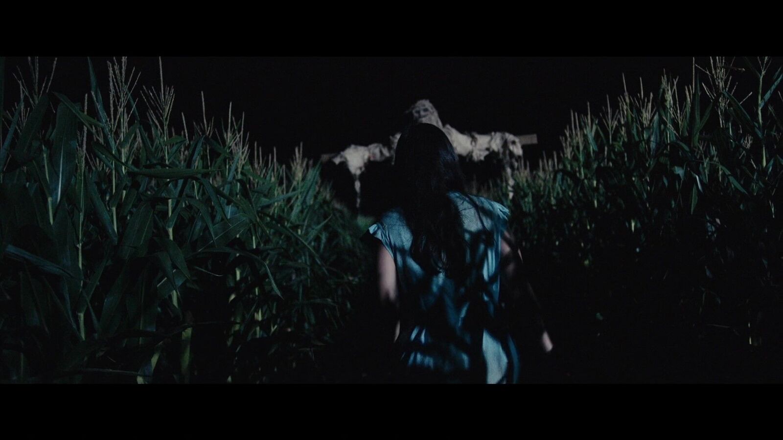 Scarecrows Trailer Available Now! Releasing on VOD 12/11 - Bobs Movie ...