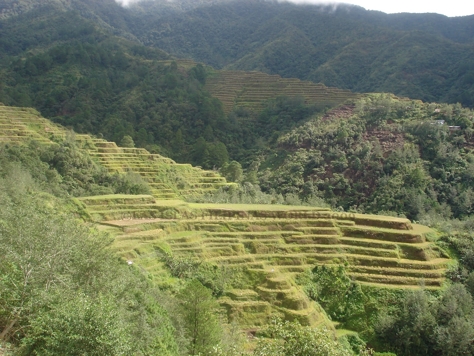 Las Islas Filipinas World: Famous Banaue Rice Terraces From Viewing Deck