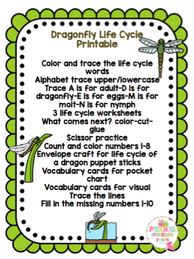 Life Cycle Of A Dragonfly Worksheet