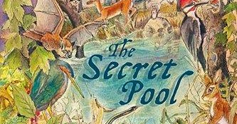 Archimedes Notebook: A Vernal Pool is Not Just a Puddle!