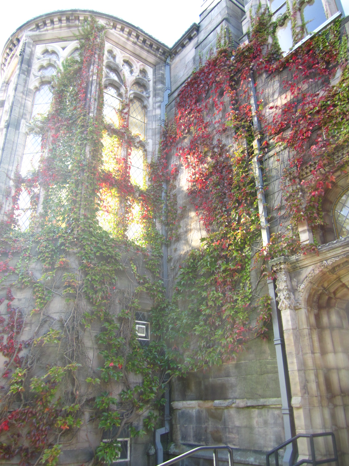 Aberdeen Plaid: University of Aberdeen Aberdeen Plaid: University of Aberdeen