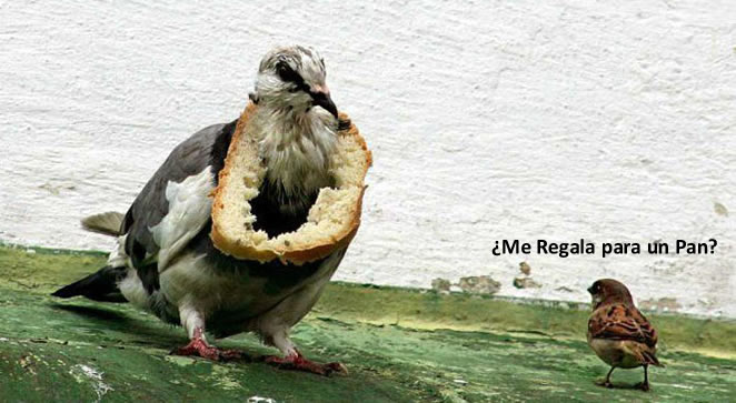 ¿Me regala para un pan?