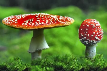 January 2014 ~ Interesante