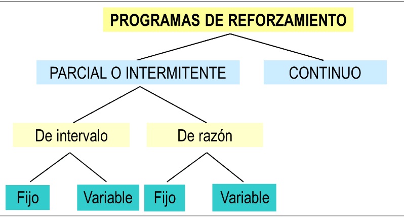 Tu Conducta@Asesoria y Terapia: El Condicionamiento Operante, Conceptos ...