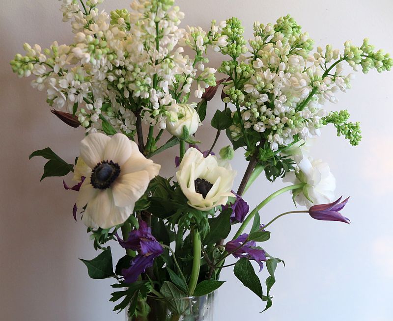 Refugium: Blooming Friday