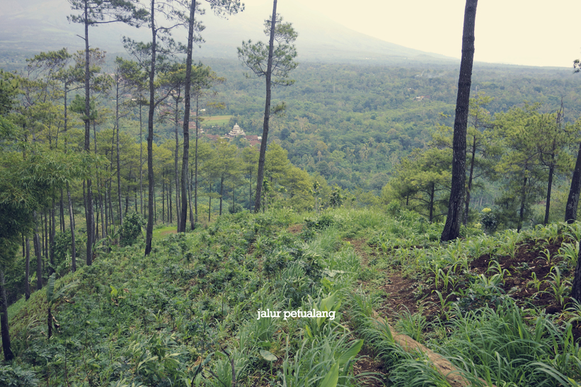 Menjelajah Gunung Wedon hingga Wisma Erni - Jalur Petualang