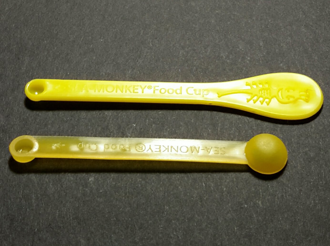 The Original Sea-Monkeys Ocean Zoo Review | Weird Fantastic Toy Adventures