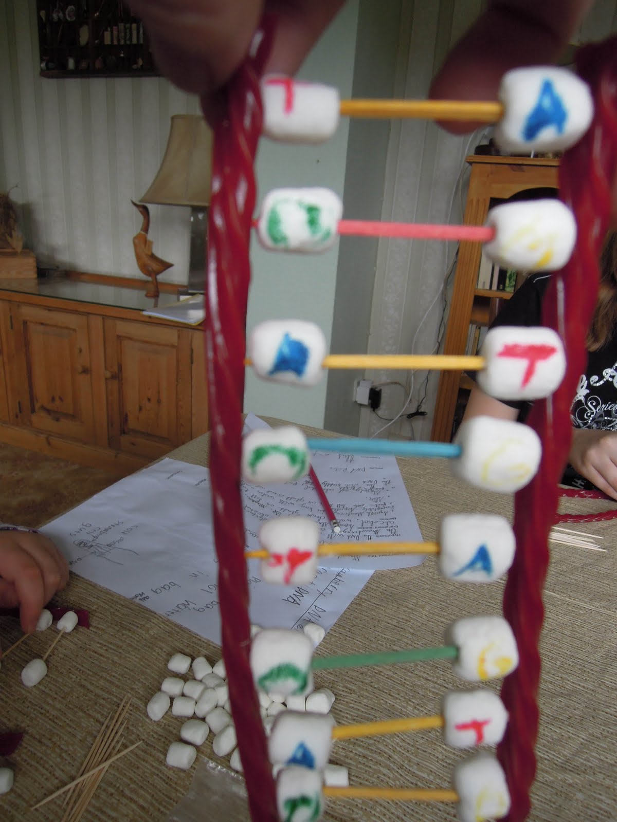 Life's Adventures: Teaching DNA and fun experiments