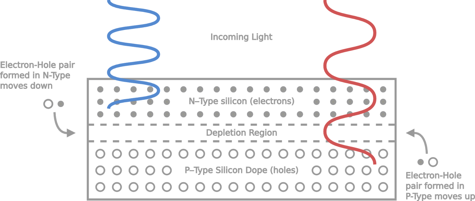 Ryan Zimmerman Photography: How Does a Digital Camera Work?