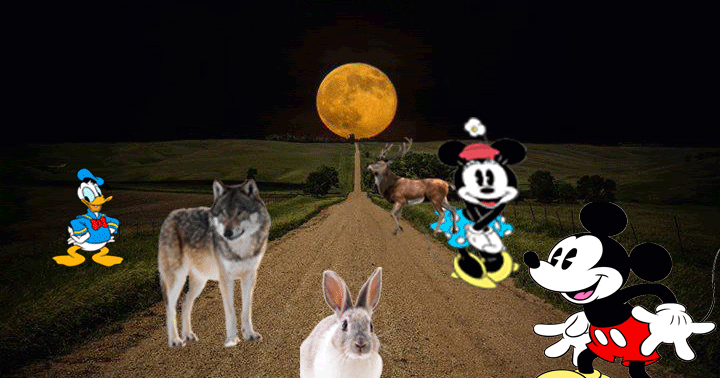 Expresiones visuales: GIF