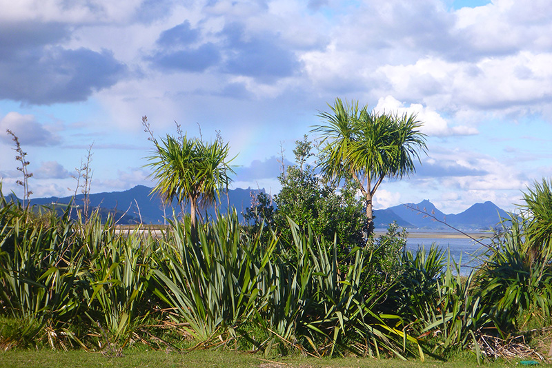 The Adventures of S/V Silhouette: Town Basin Time