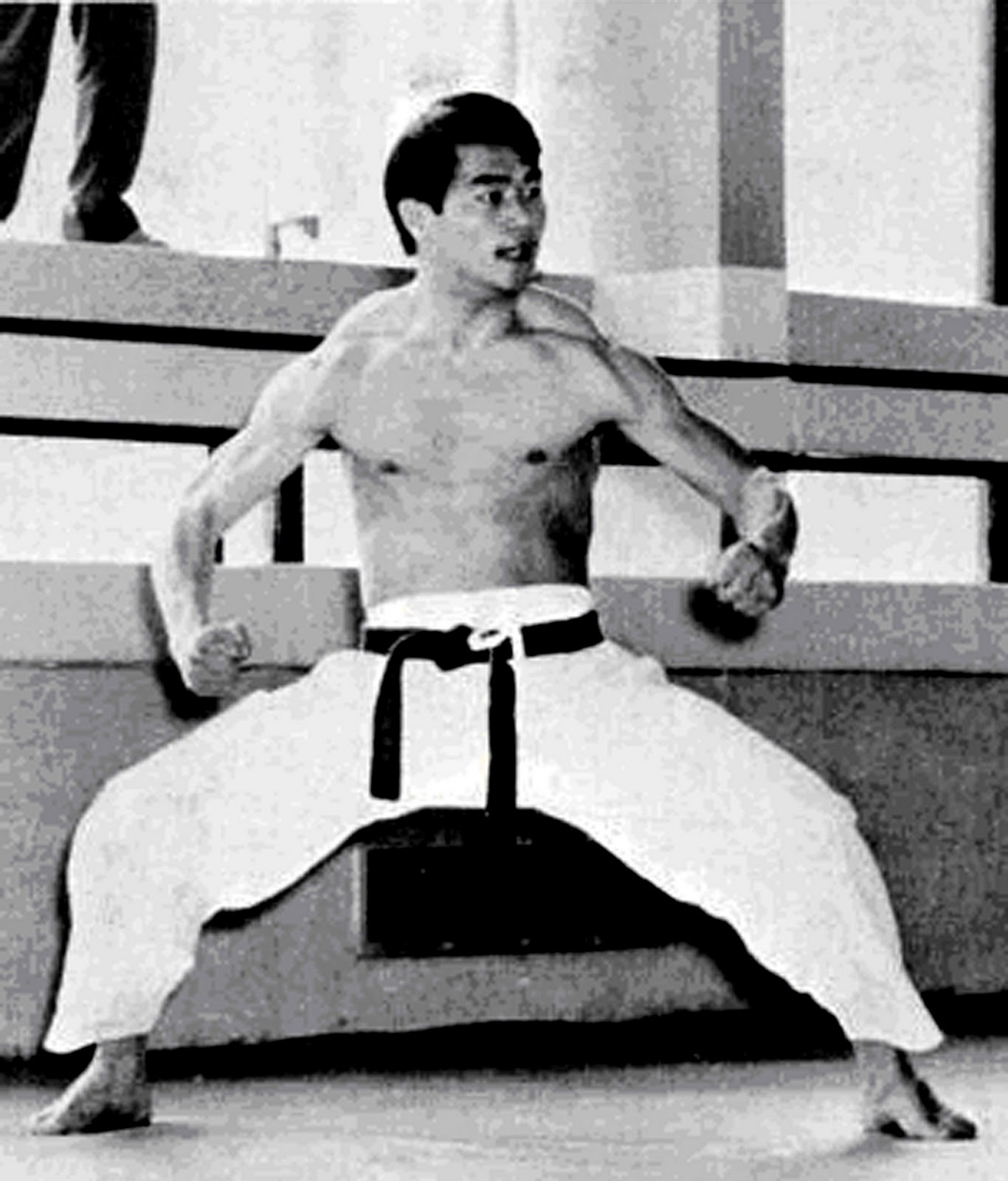 Análisis del kata Seienchin de Nanbudo.