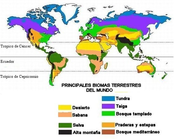 BIOMAS DE LA TIERRA : ¿Conoces los grandes biomas de a tierra?