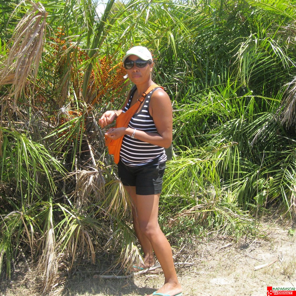 Madagascar Today: Hello Madagascar