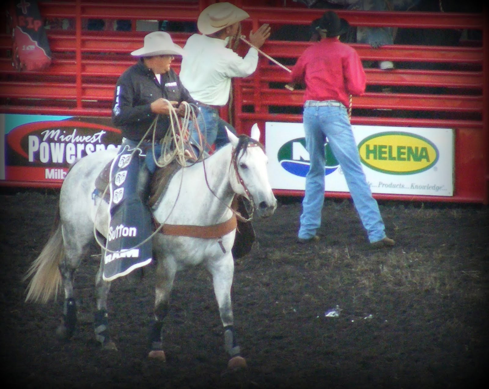 Melissa Lynn D Art: Rodeo!