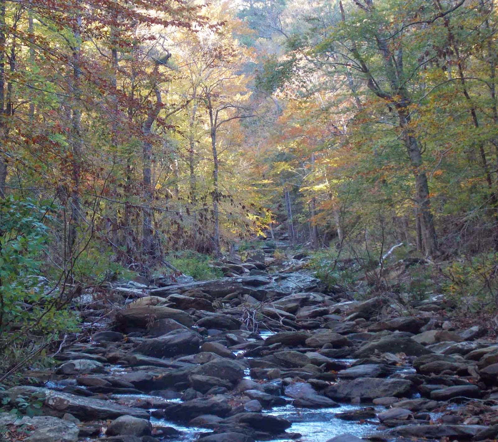 Visit Calhoun County: Natural Attractions