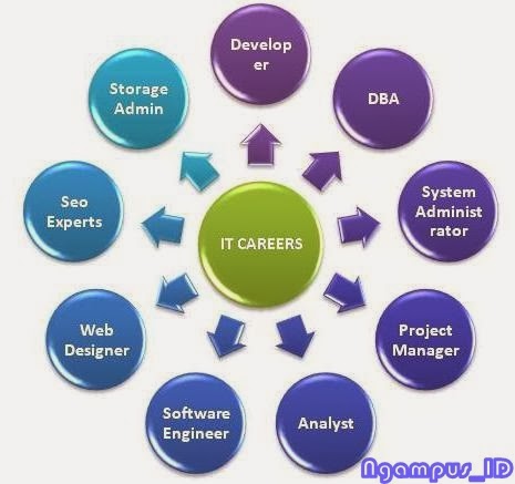 Choosing an IT Career Path ~ Ngampus_ID