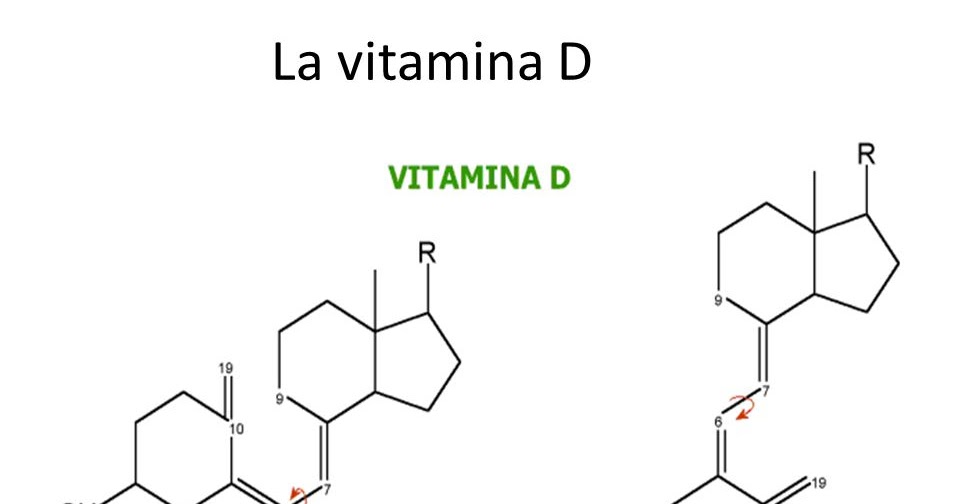 Vitamina D ~ BITÁCORA DE UNA ESTUDIANTE DE NUTRICIÓN