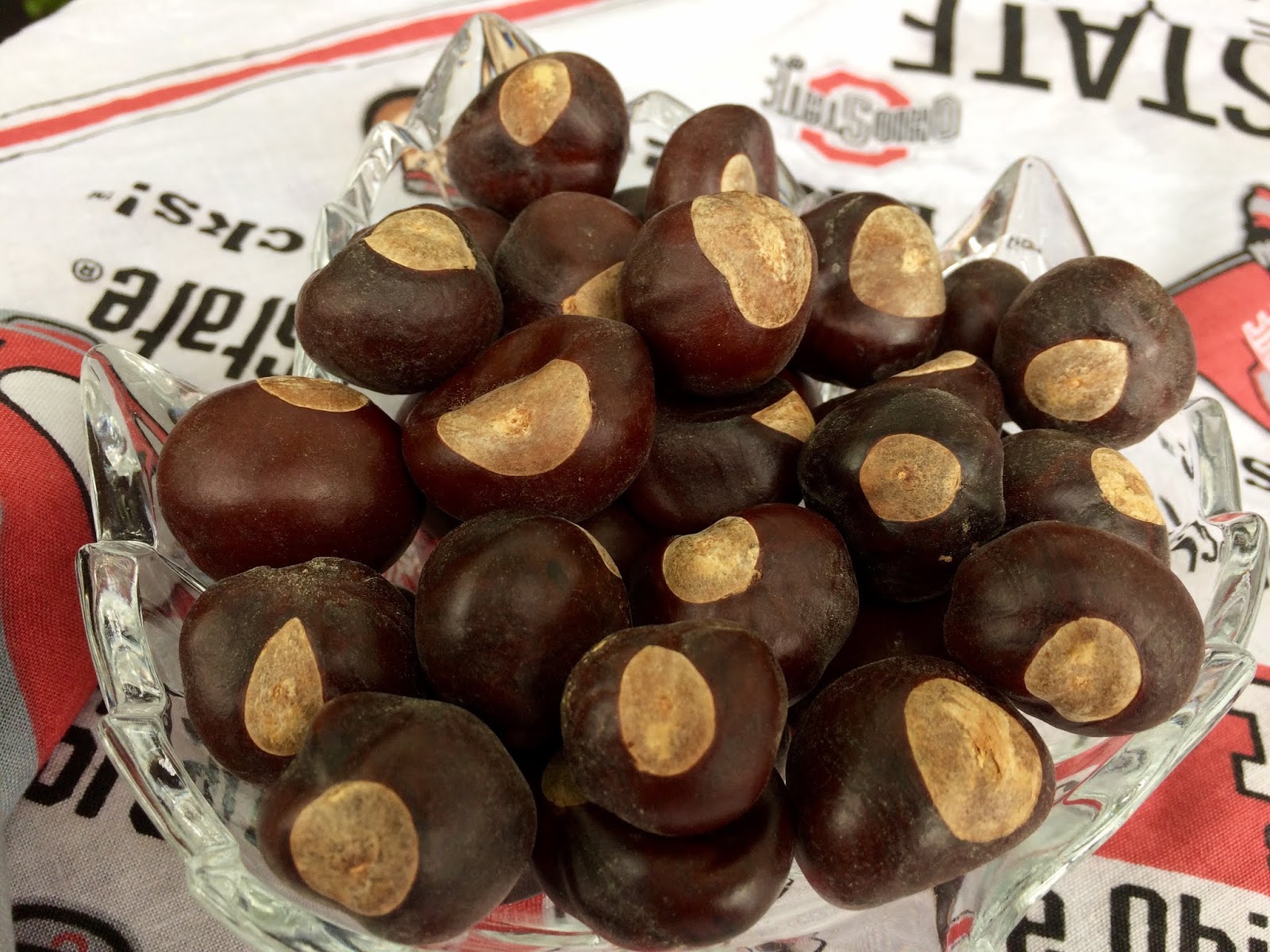 Kitty's Kozy Kitchen: Buckeyes
