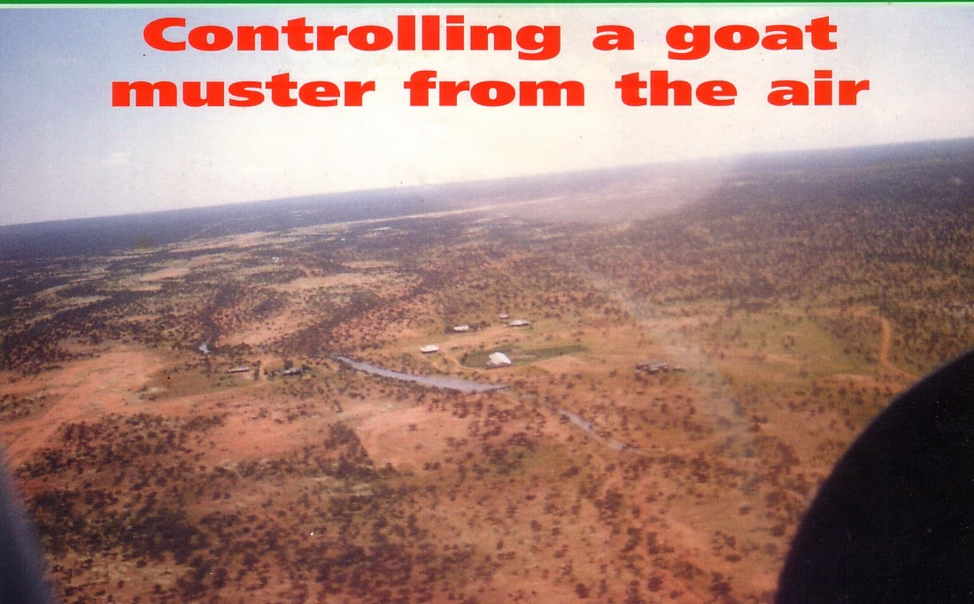 Margaret Muir : “Mustering feral goats from the air is a bit like a ...