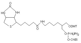 Vitaminas: Vitamina H
