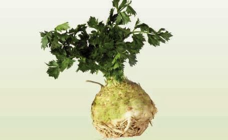 Sfaturi pentru o viata sanatoasa !!: Telina - Remedii naturiste