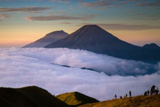 Konsep Penting Gunung Kembar, Lukisan Pohon