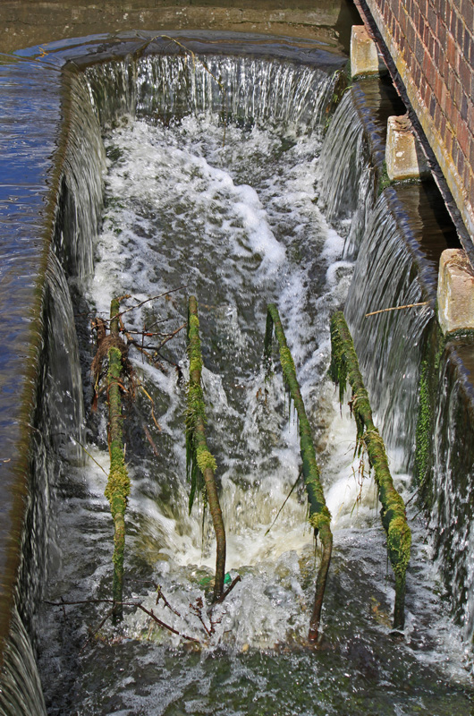 Captain Ahab's Watery Tales: May 2013