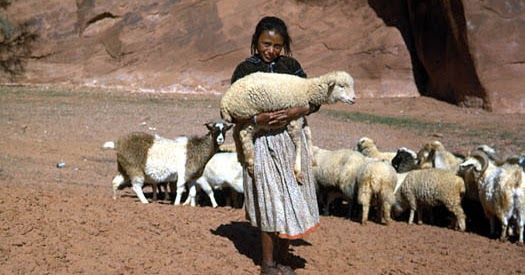 mamabishop: One Flock, One Shepherd