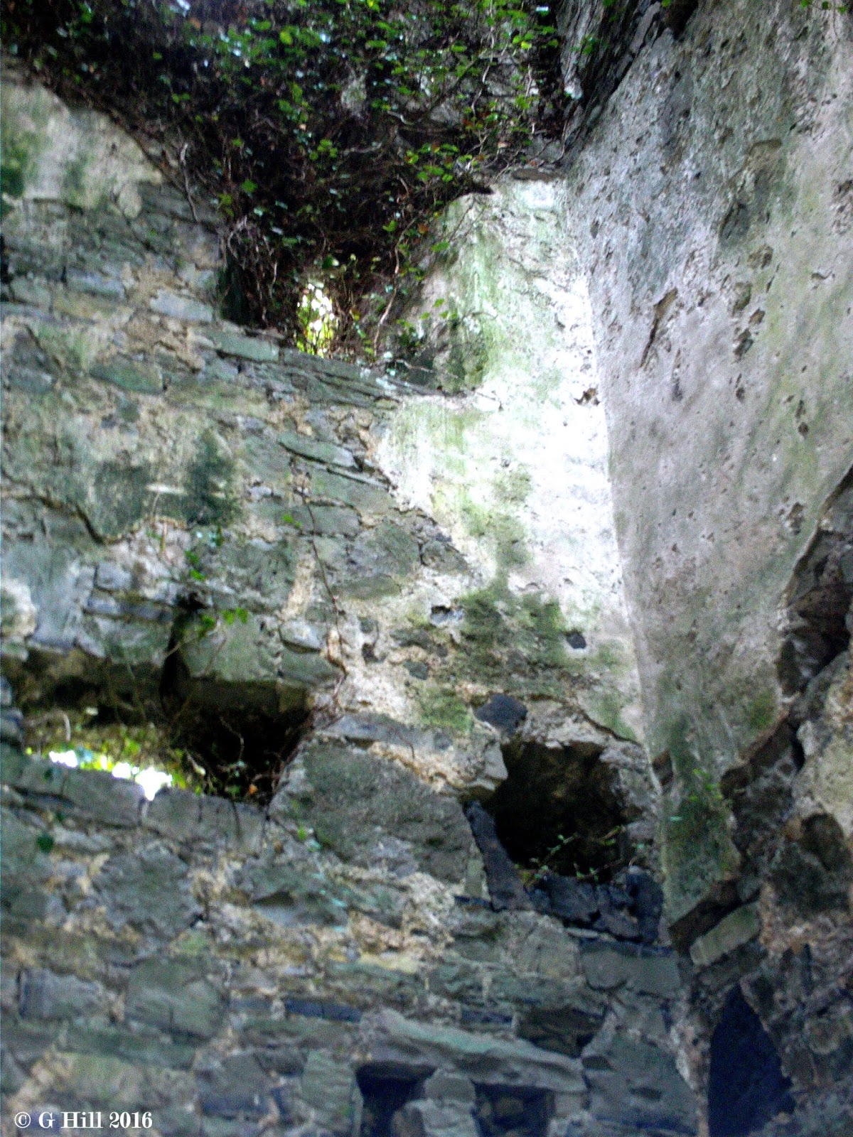 Ireland In Ruins: Ballymount Castle Co Dublin