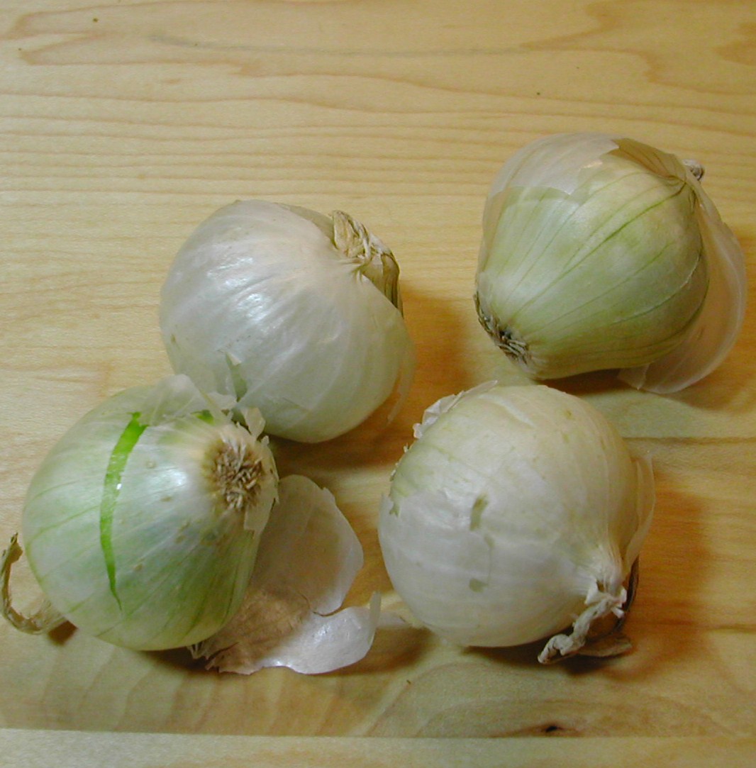 Cooking Tip of the Day: All About Onions