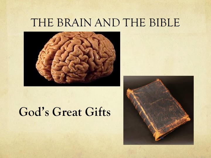 Communicating Life2: THEOLOGY and SCIENCE: The Brain and the Bible