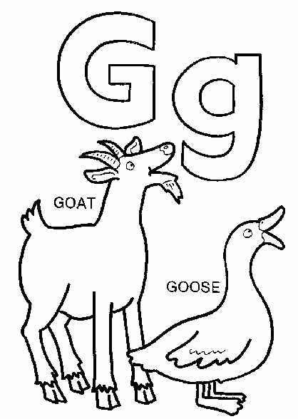 Let's Start Colouring!: Abjad