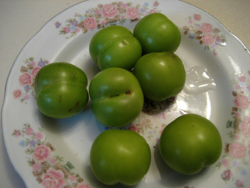 Living Rootless: Georgia: First Fruits - Alucha