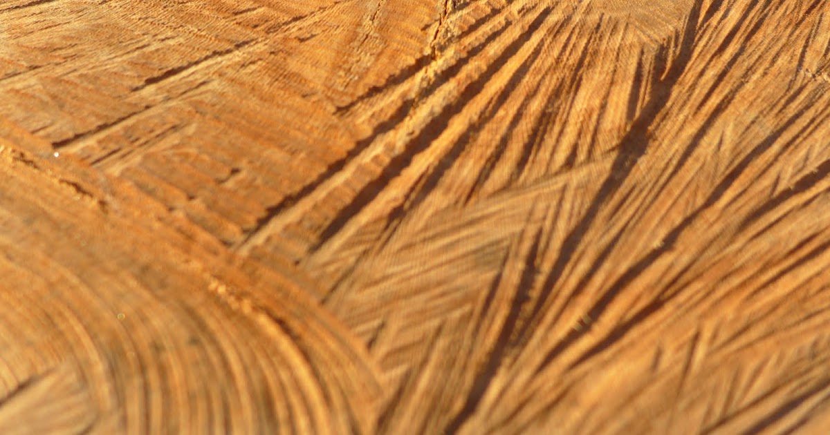 Madera cálida con estrias | Todas las texturas