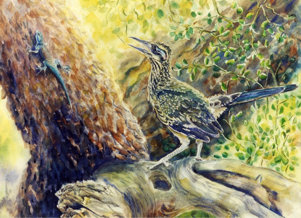 Arizona: Beetles, Bugs, Birds and more: Arizona Wild Cats (and other ...