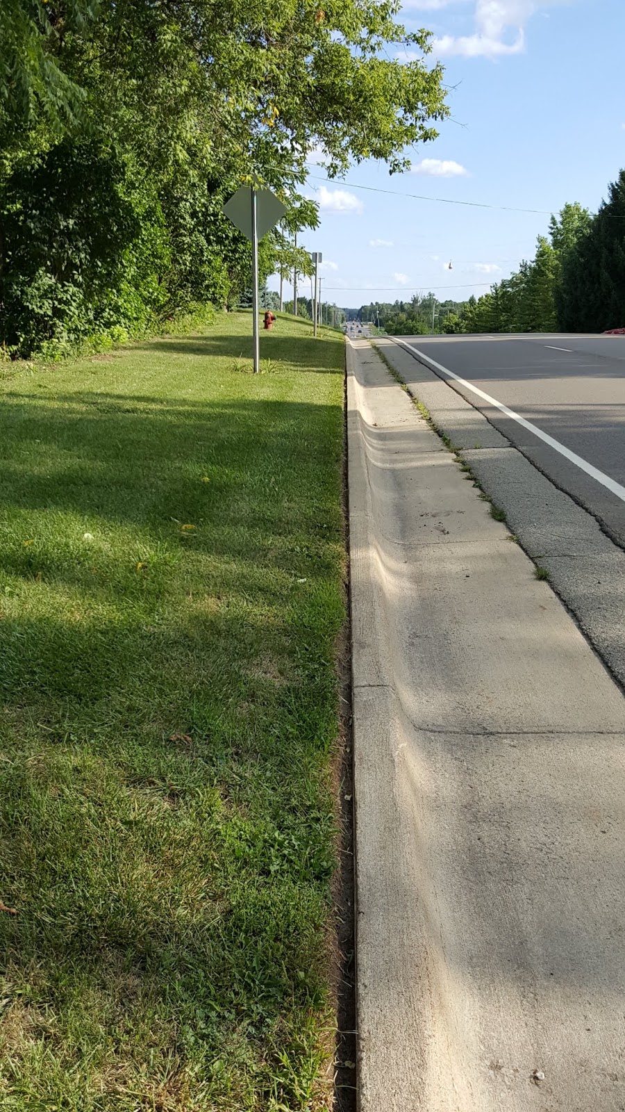 Gear Acres at Top of the Hill: Curb Appeal and Curbside Treasures